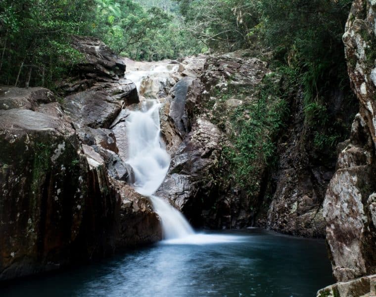 Top 5 Queensland Scenic Walks – Health and Wellbeing Queensland