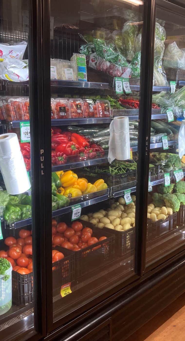 ECHO® Learning Series – Health and Wellbeing Queensland