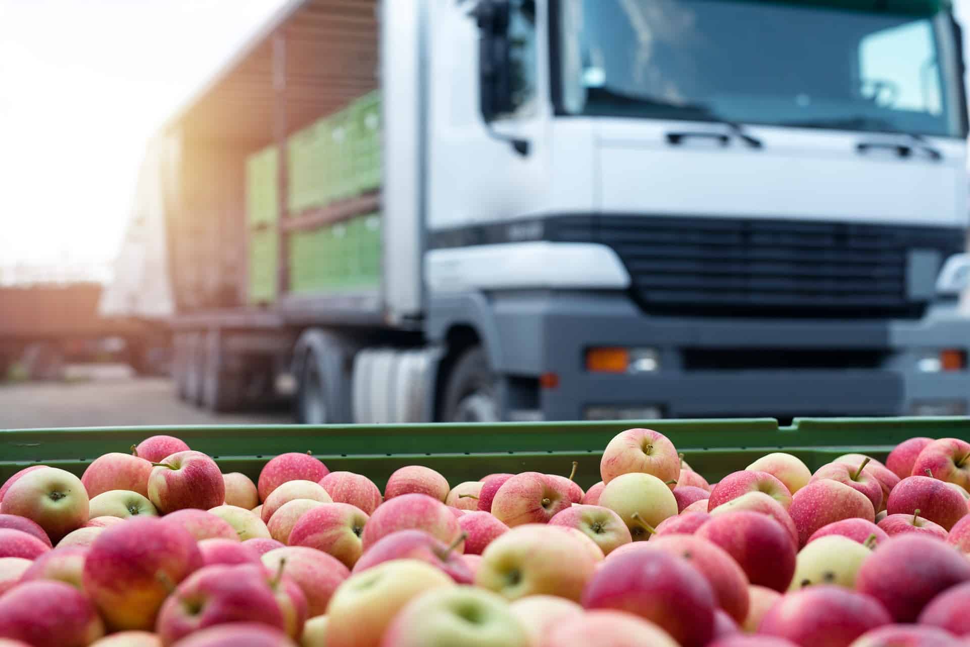 Healthy Food Supply Chain Study