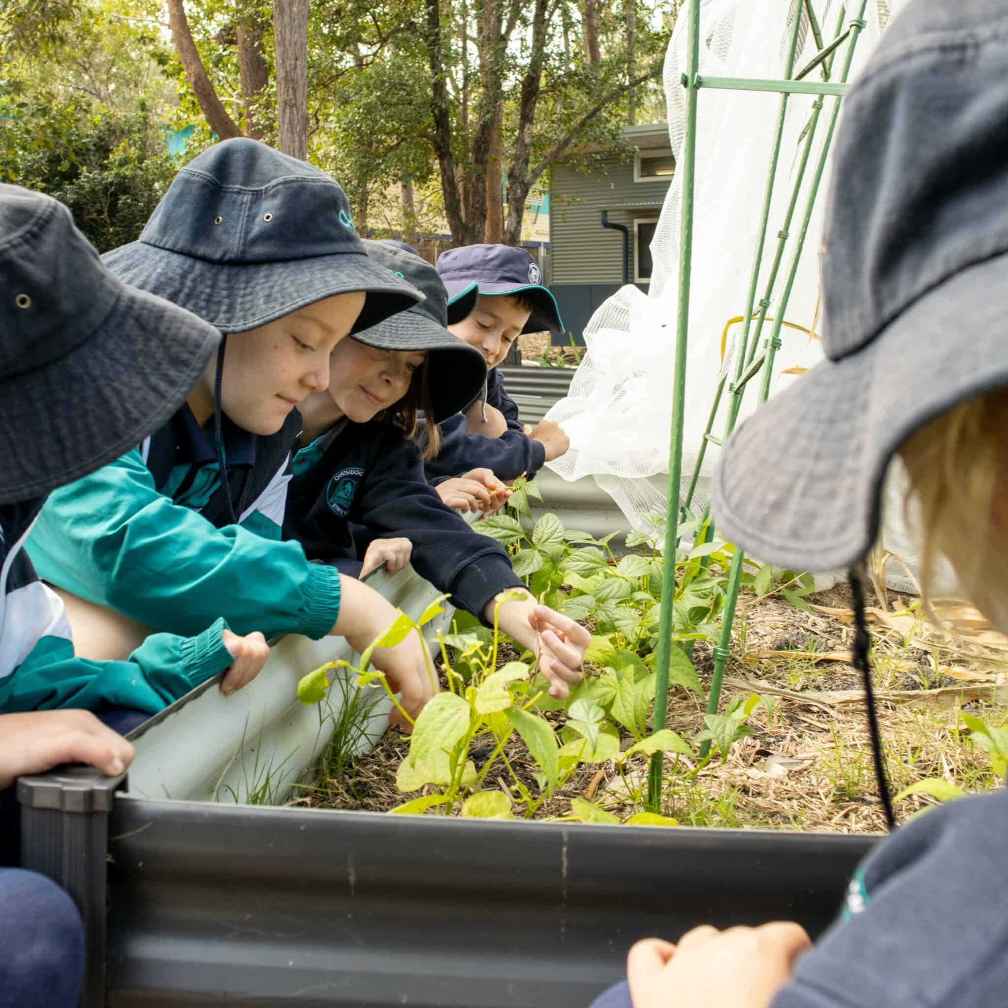 Pick of the Crop – Getting Started