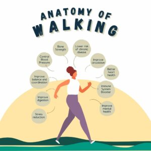 Walking is a super-powered exercise activity, here’s why – Health and ...