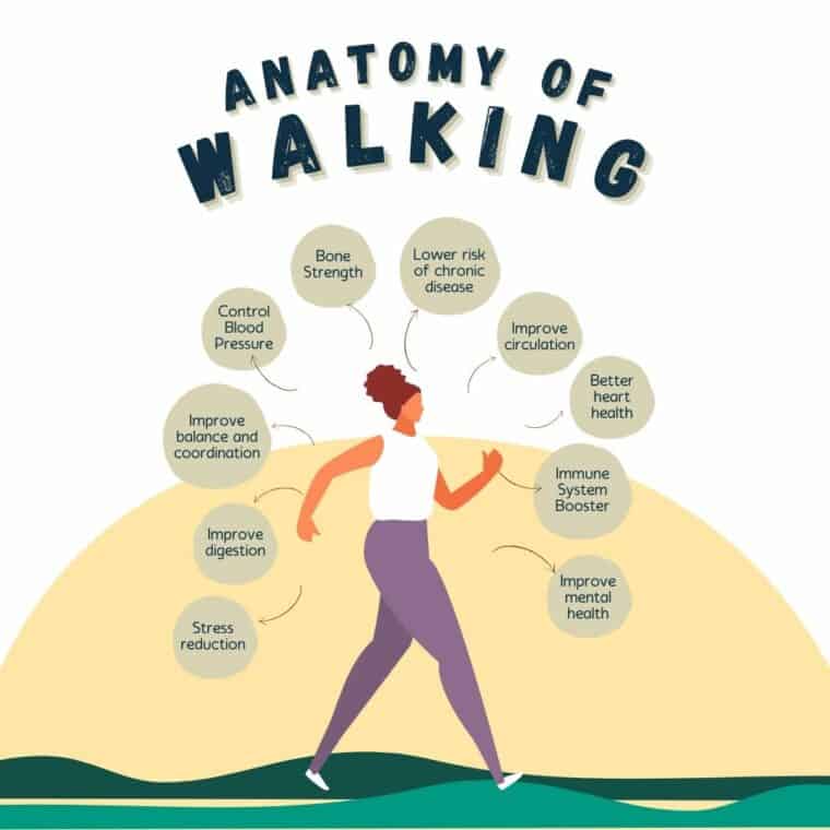 Walking is a super-powered exercise activity, here’s why – Health and ...