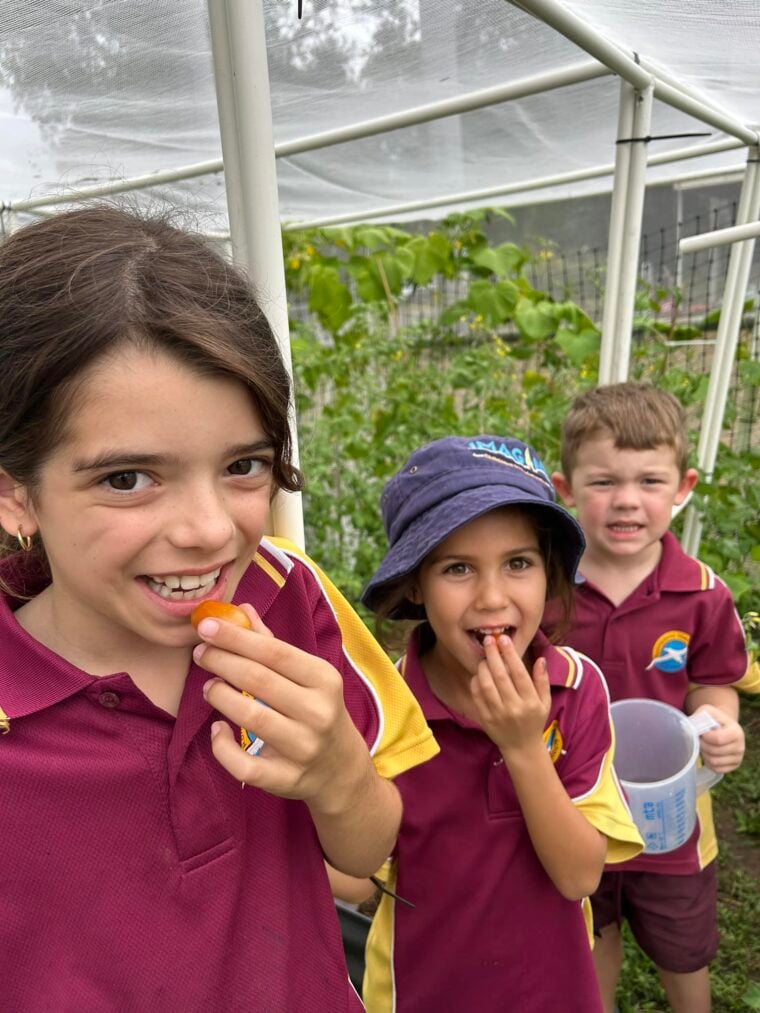 Pick of the Crop – News and Features
